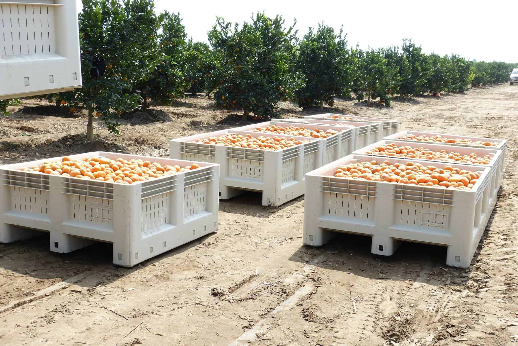 Agricultural Bins – Pallets & Bins